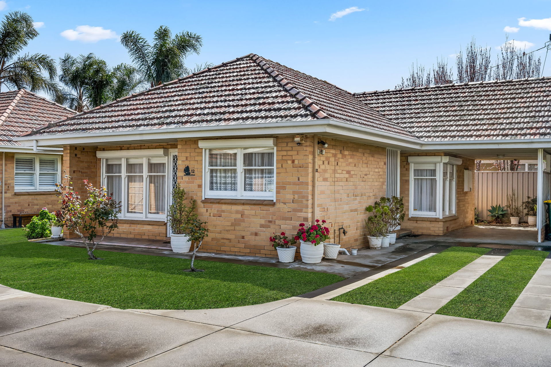 12 Olive Street, Glenelg - Noakes Nickolas